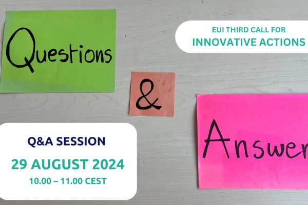 Fifth Q&A session- Third Call for Innovative Actions | EUI
